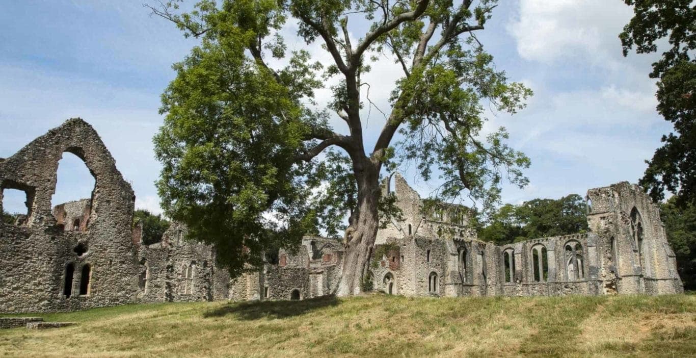 King Edward VI - Historic UK