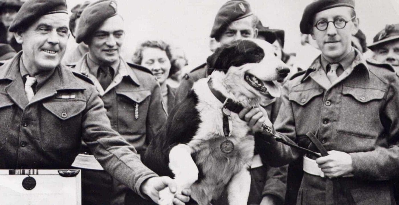 The Female Spies of the SOE - Historic UK