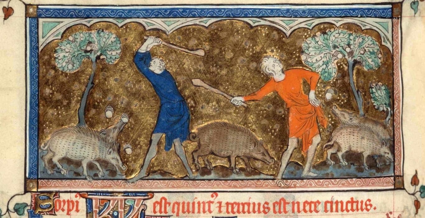 The Luttrell Psalter