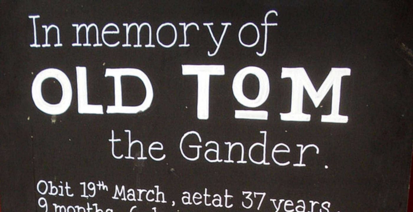 Hyde Park Pet Cemetery