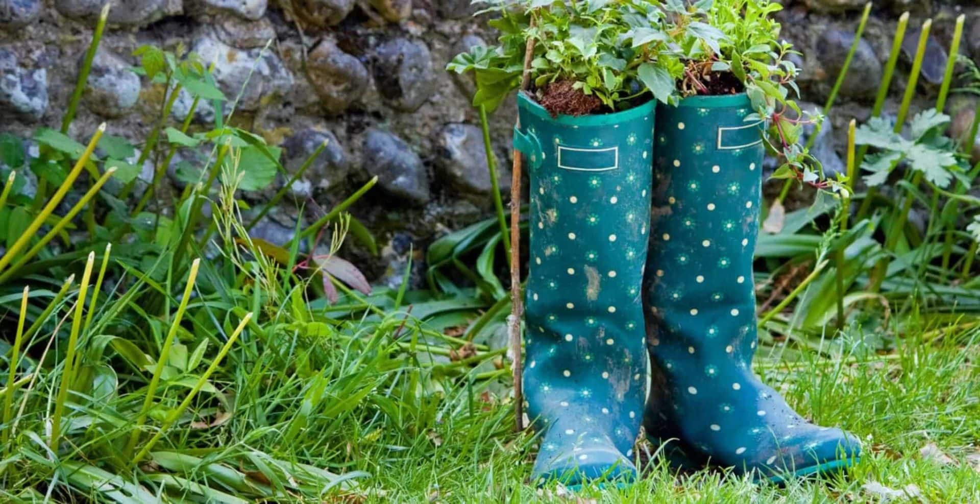 Great British Eccentrics