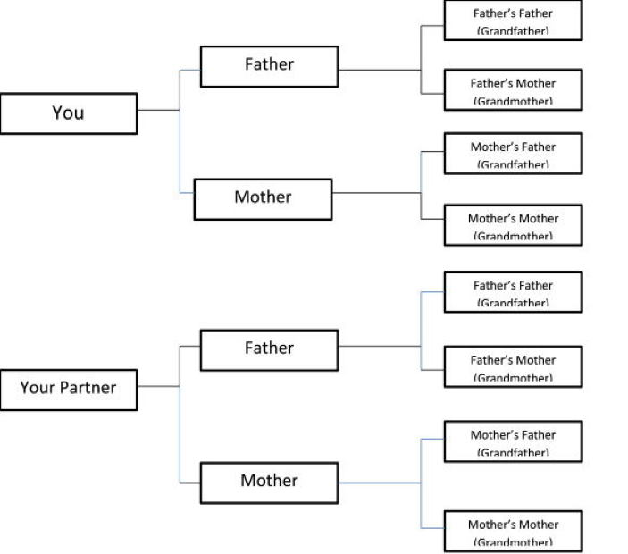 How To Trace Your Family Tree Family Tree Chart Family Tree Templates 