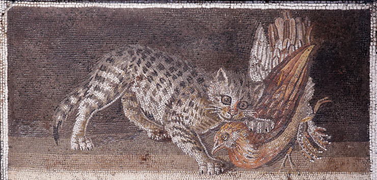 A Furricious Cat History of Britain - Historic UK