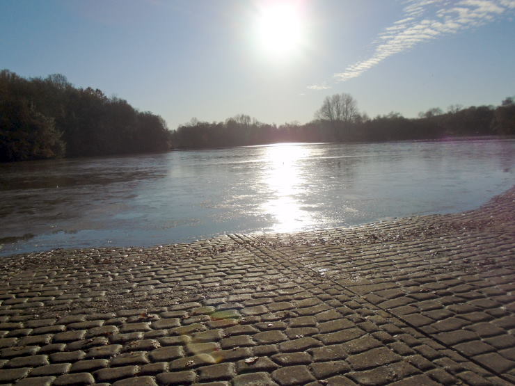 The History of Sherwood Forest - Historic UK