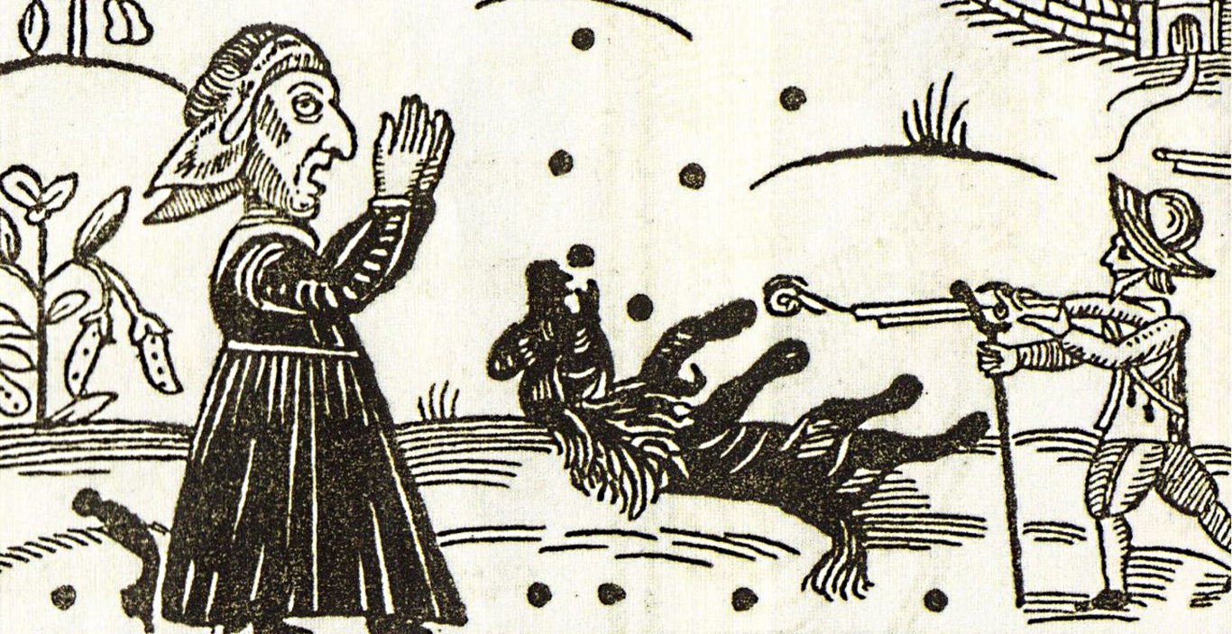 Boy, Prince Rupert's Dog - Historic UK